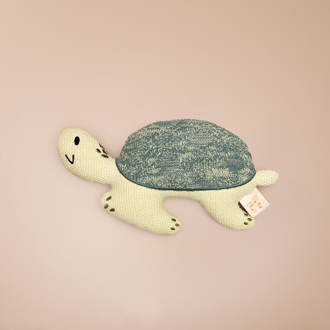 Toby the Sea Turtle (Petite Friends) – Petite First